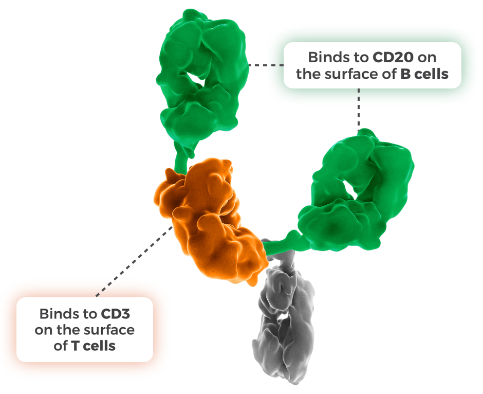 How is COLUMVI® (glofitamab-gxbm) Thought to Work? | HCP