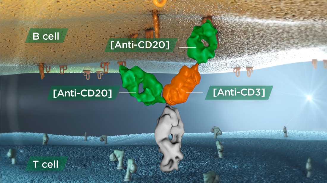 How is COLUMVI™ (glofitamab-gxbm) thought to work? | HCP
