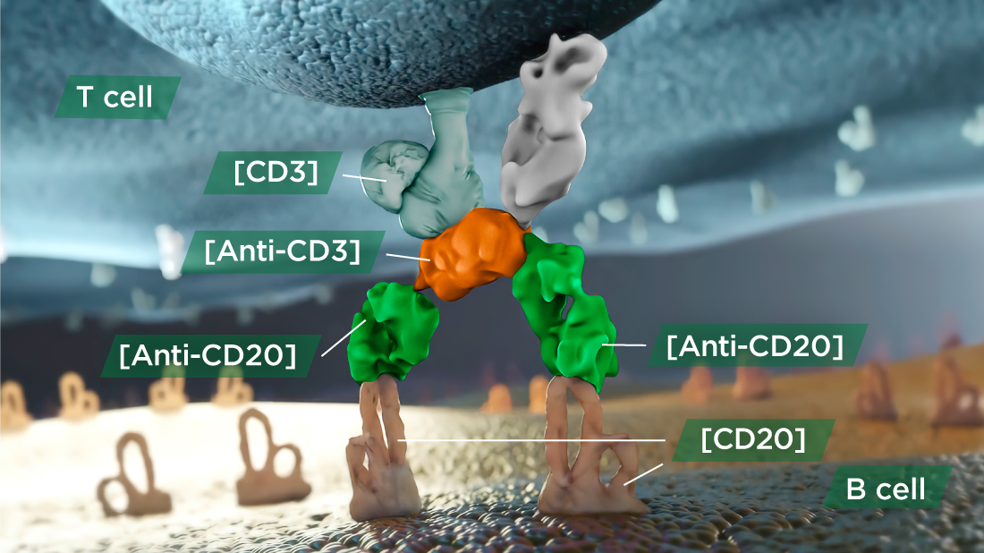 How is COLUMVI™ (glofitamab-gxbm) thought to work? | HCP